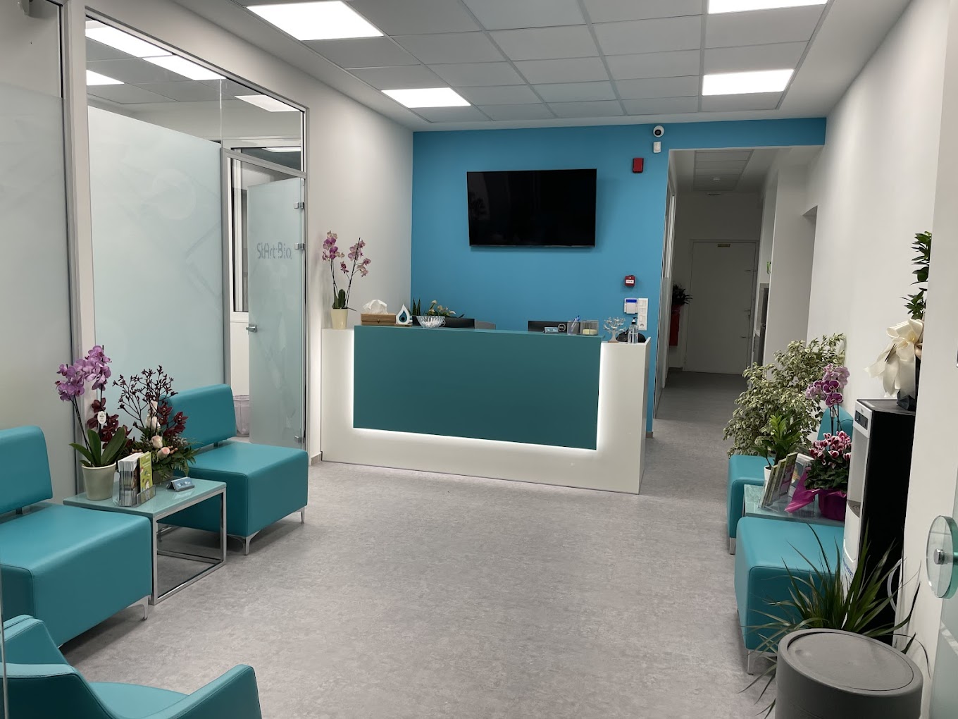 LTT-Test for lymphocyte transformation